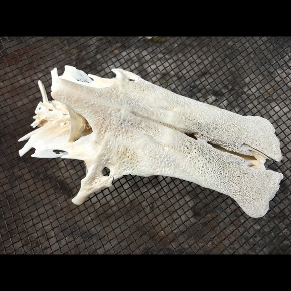 Other | Fish Bone Crucifix | Poshmark